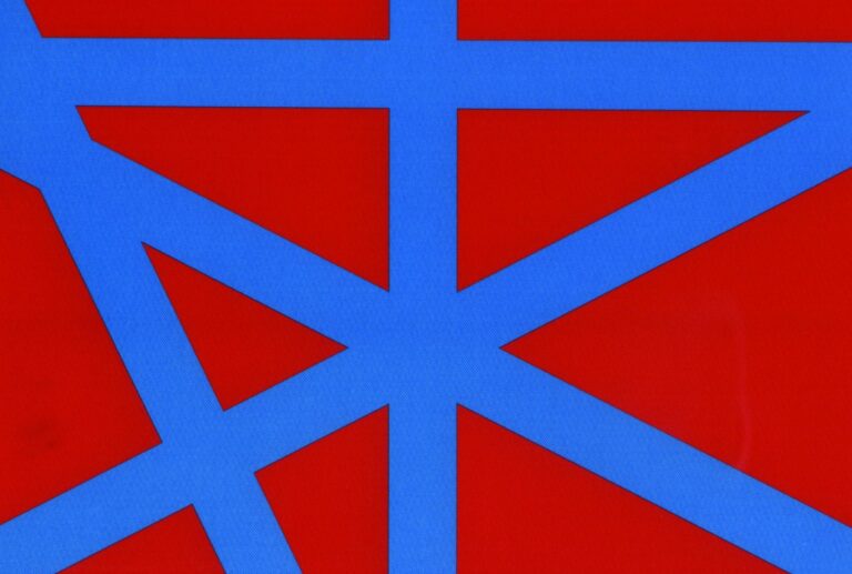 Microreview: Aaron Kunin, Folding Ruler Star - Boston Review