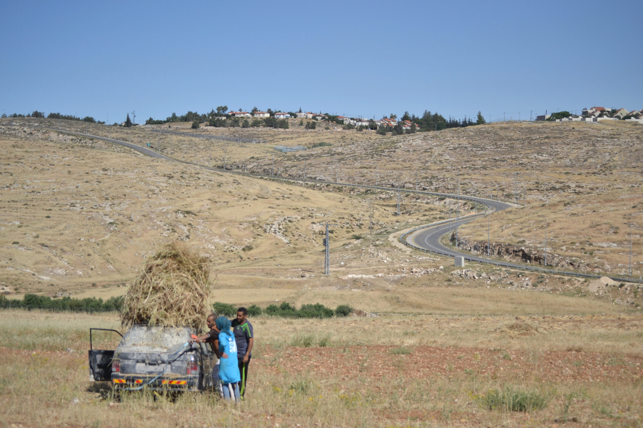 Dispatch from the Hebron Hills - Boston Review