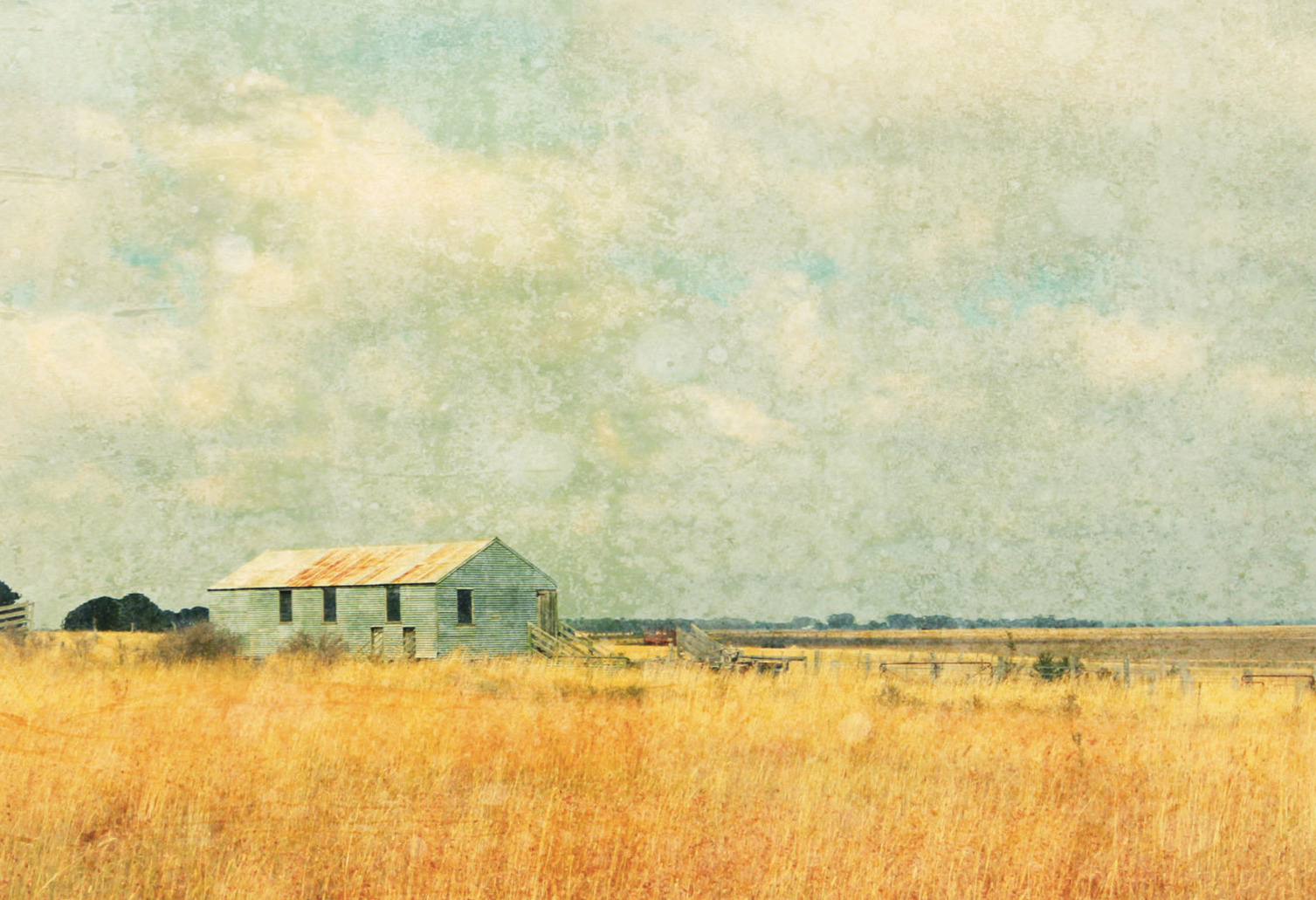 Review: Fay - Boston Review