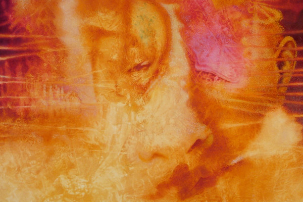 Transparents - Boston Review