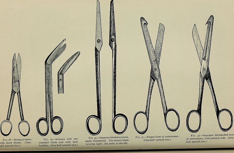 Blunt Instrument - Boston Review