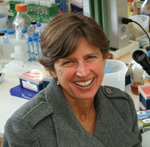 Pamela Ronald - Boston Review