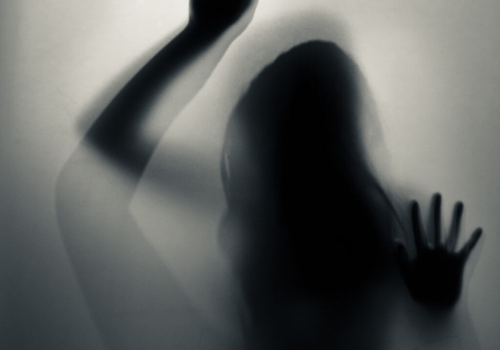 Her Face in the Darkness - Boston Review