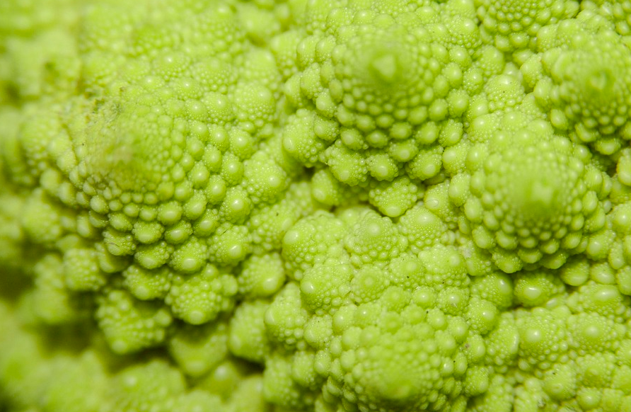 Broccoli Face Braces