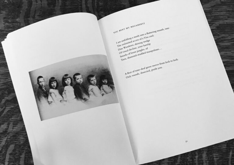 Microreview: Christian Hawkey, Ventrakl - Boston Review