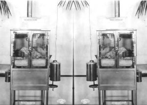 All Reproduction Is Assisted - Boston Review