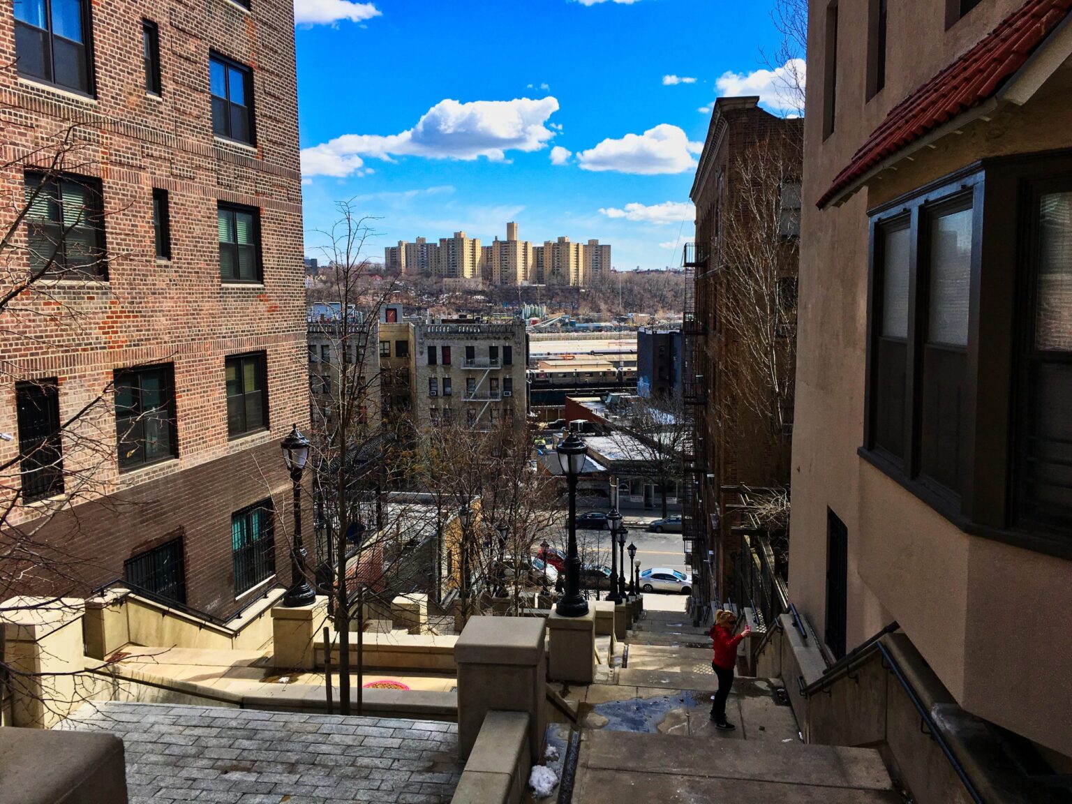 Review: Orpheus in the Bronx - Boston Review