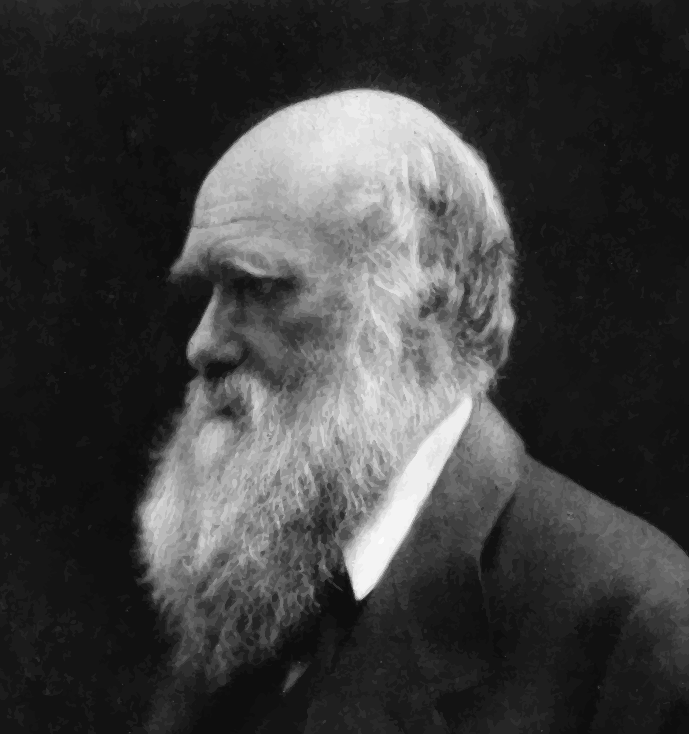 Darwin and Design - Boston Review
