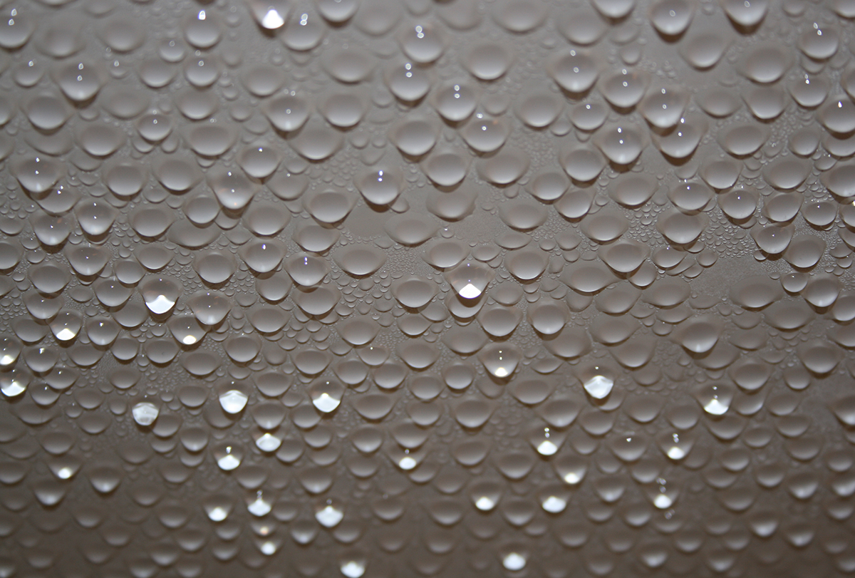 Half-Moon Teeth - Boston Review