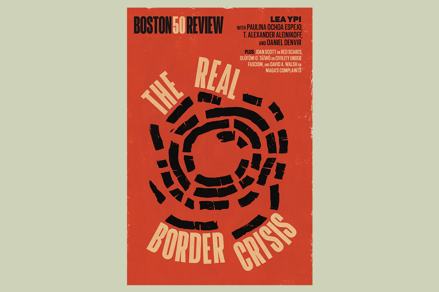 Raj Patel - Boston Review