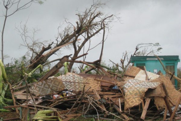 Elizabeth Metzger - Boston Review