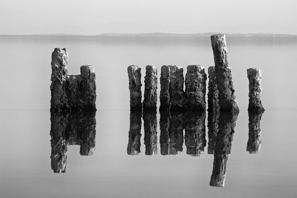 May/June 2016 - Boston Review