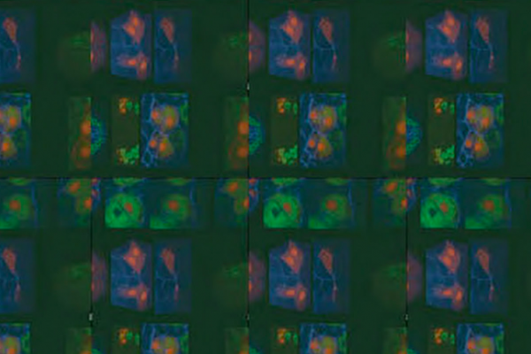 Cecily Parks - Boston Review