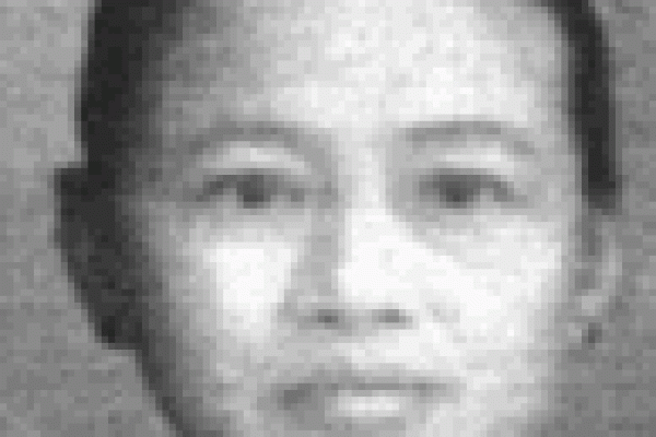 Josey Foo - Boston Review