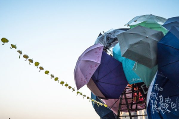 Guobin Yang - Boston Review