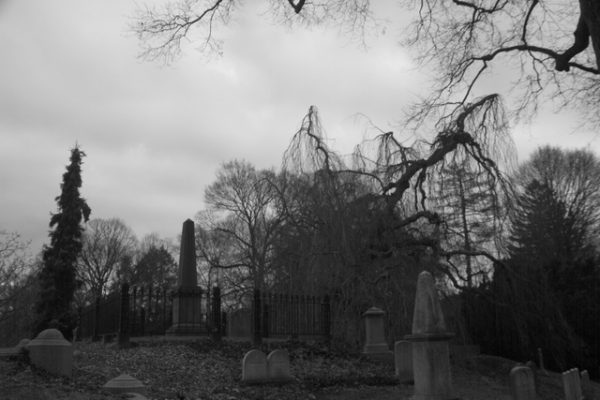 Cecily Parks - Boston Review