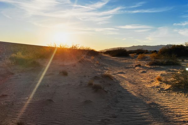 Home - Boston Review