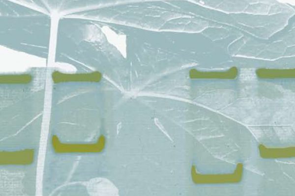 Amelia Klein - Boston Review